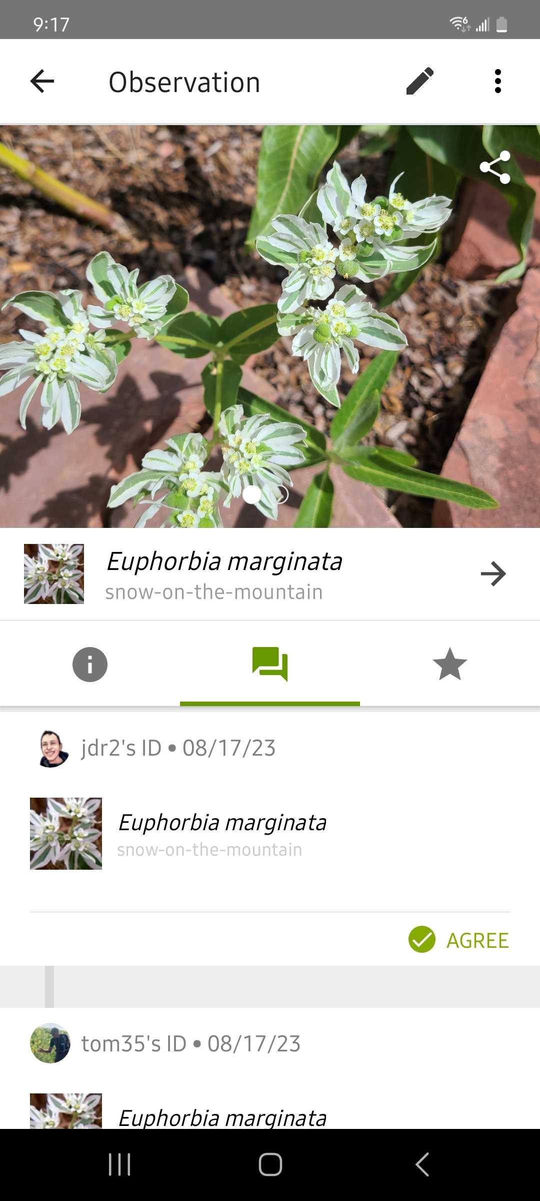 Workshop: How and Why to Use iNaturalist with Hannah Floyd - Colorado ...