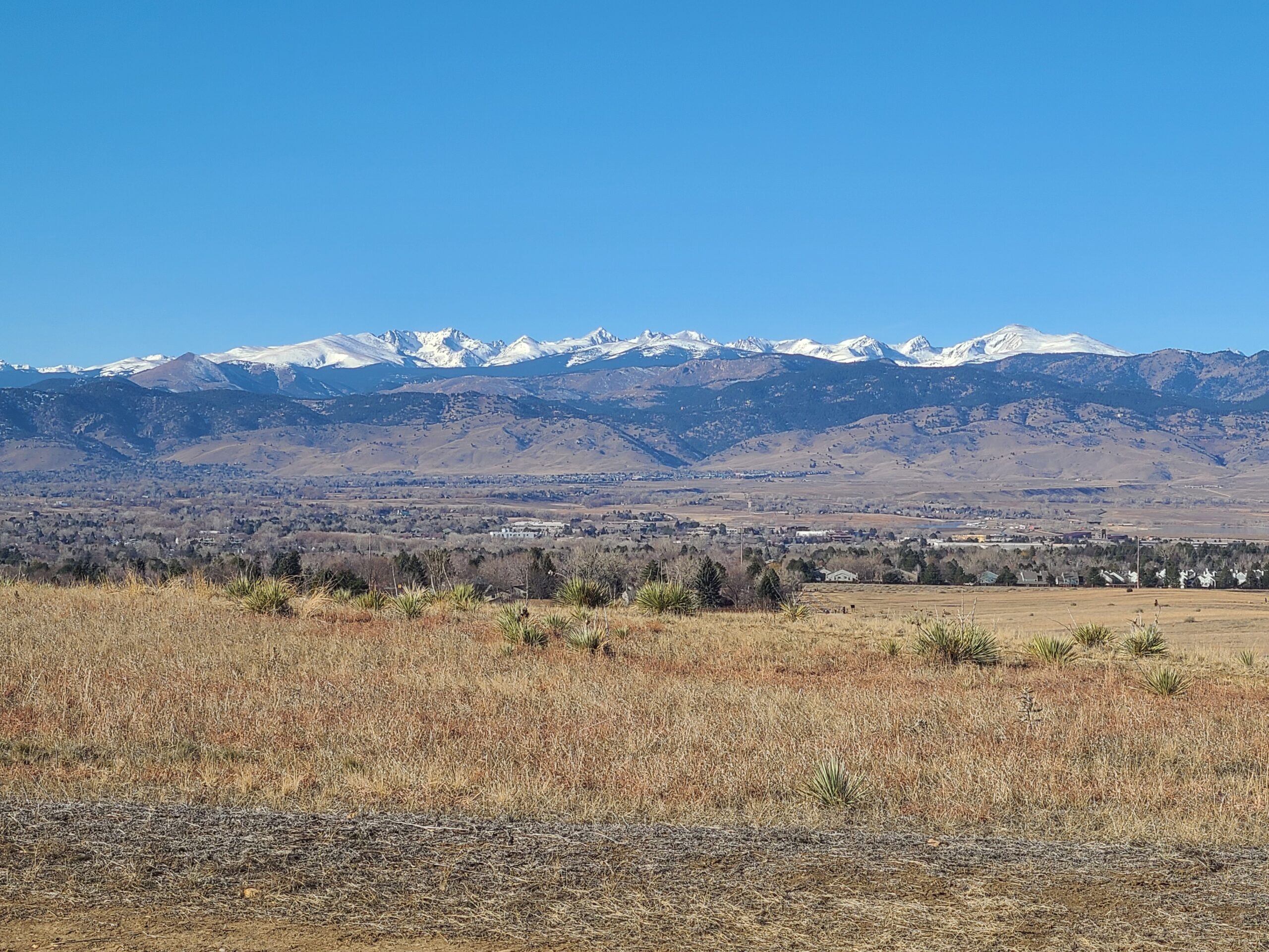 The Great Boulder Caper 2024 - Colorado Field Ornithologists